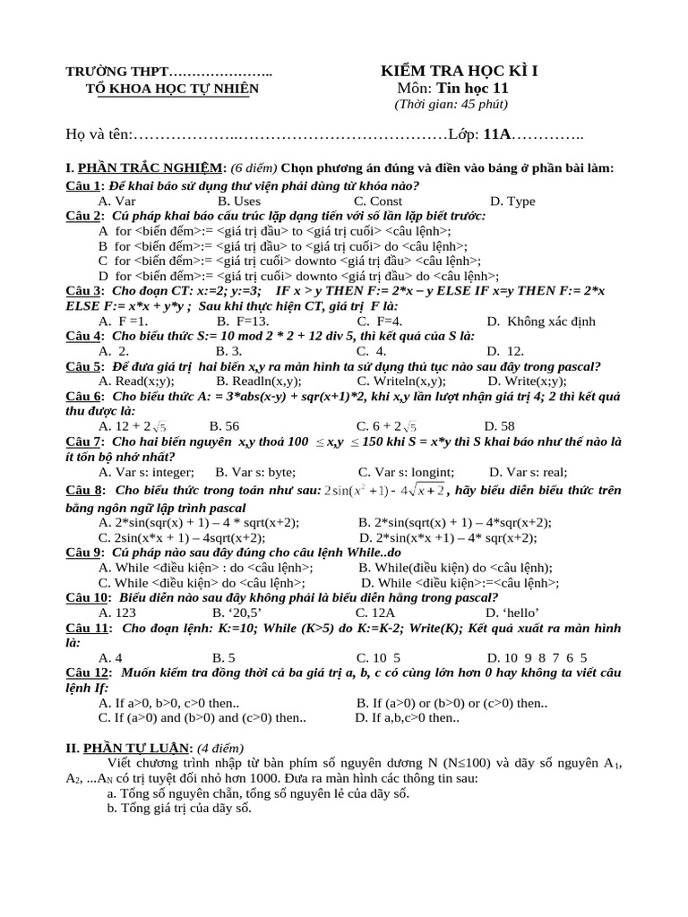 De Thi HK1 Tin 11 de 5 | PDF