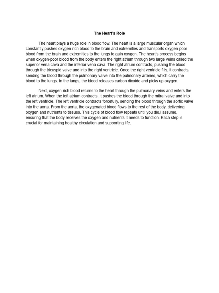 The Heart's Blood Flow Cycle | PDF