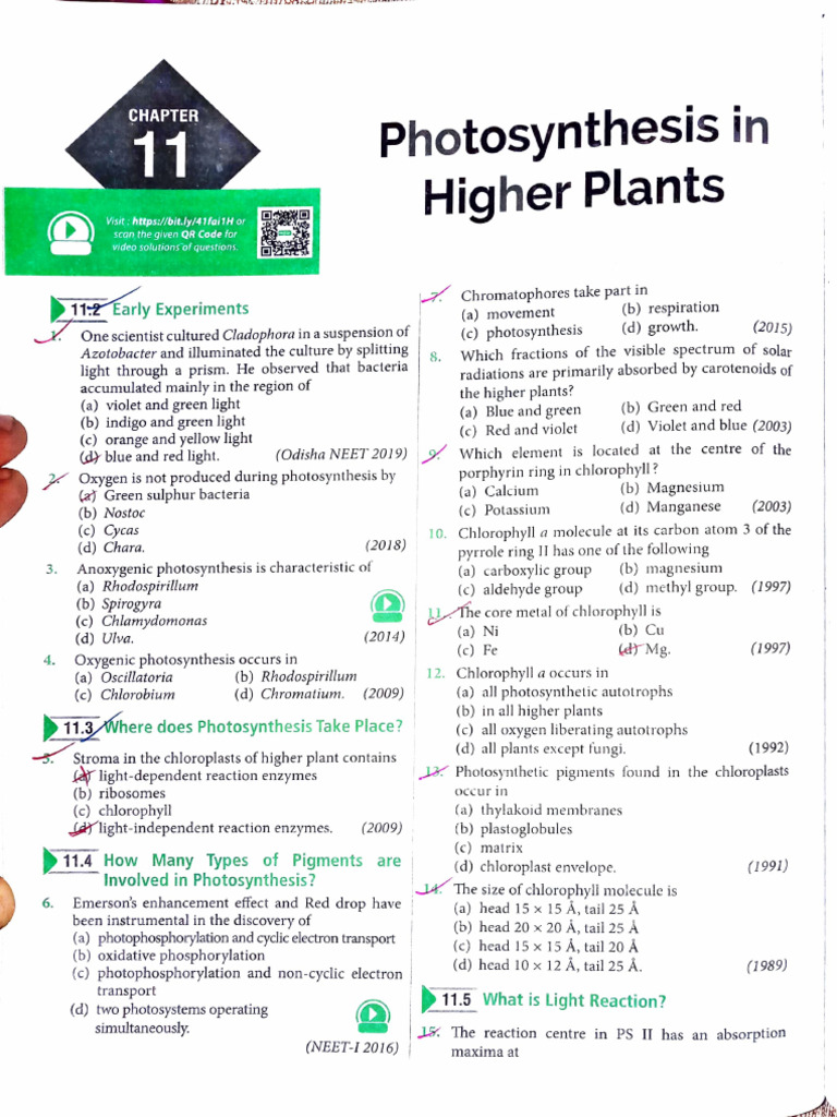 Chlorophyll-a Structure and Function | PDF | Photosynthesis | Chloroplast