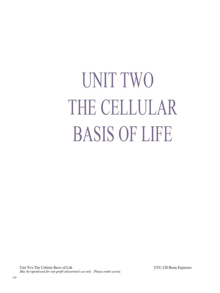 Cellular basis of life | PDF | Neuron | Muscle
