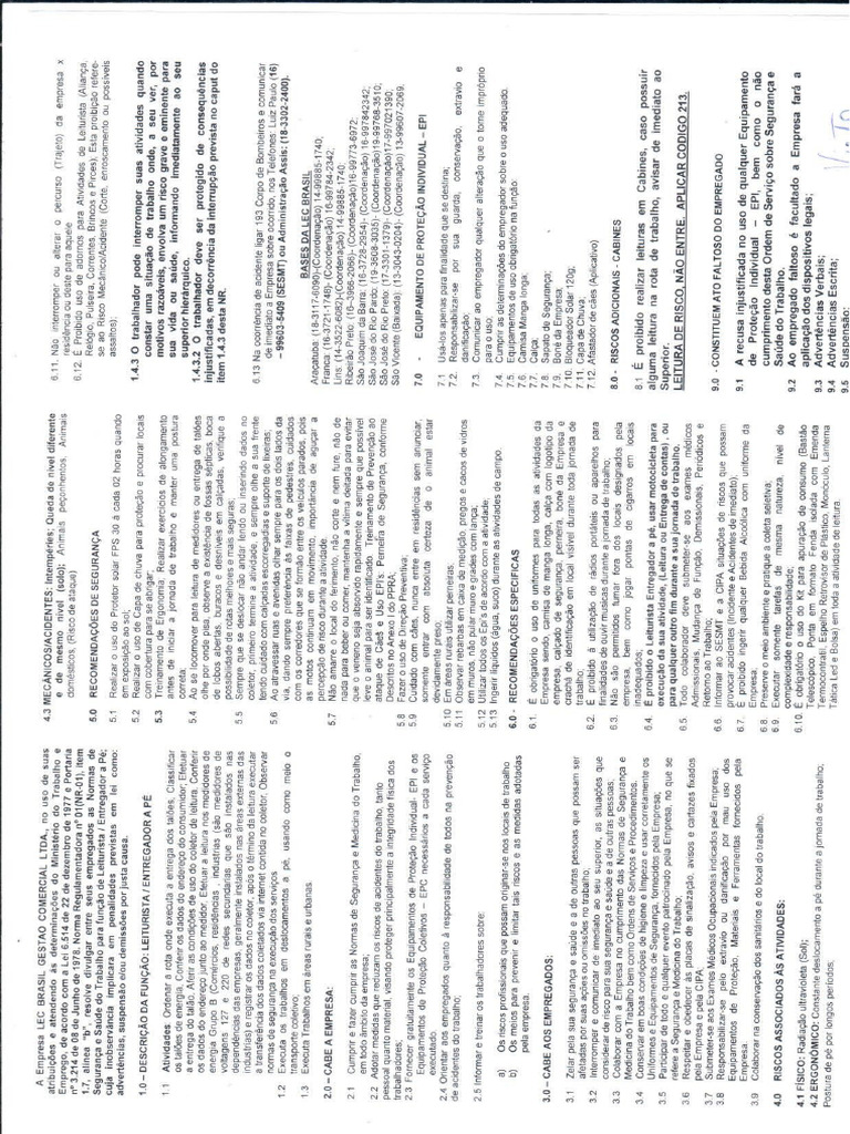 Pichon | PDF