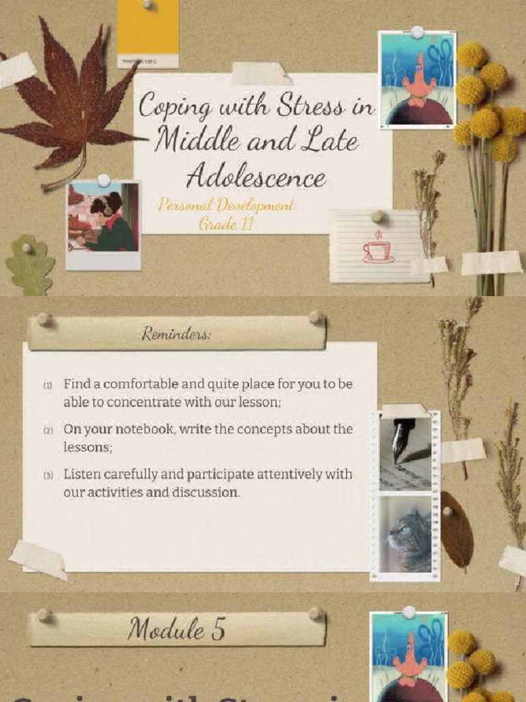 Lesson 5 Coping With Stress | PDF