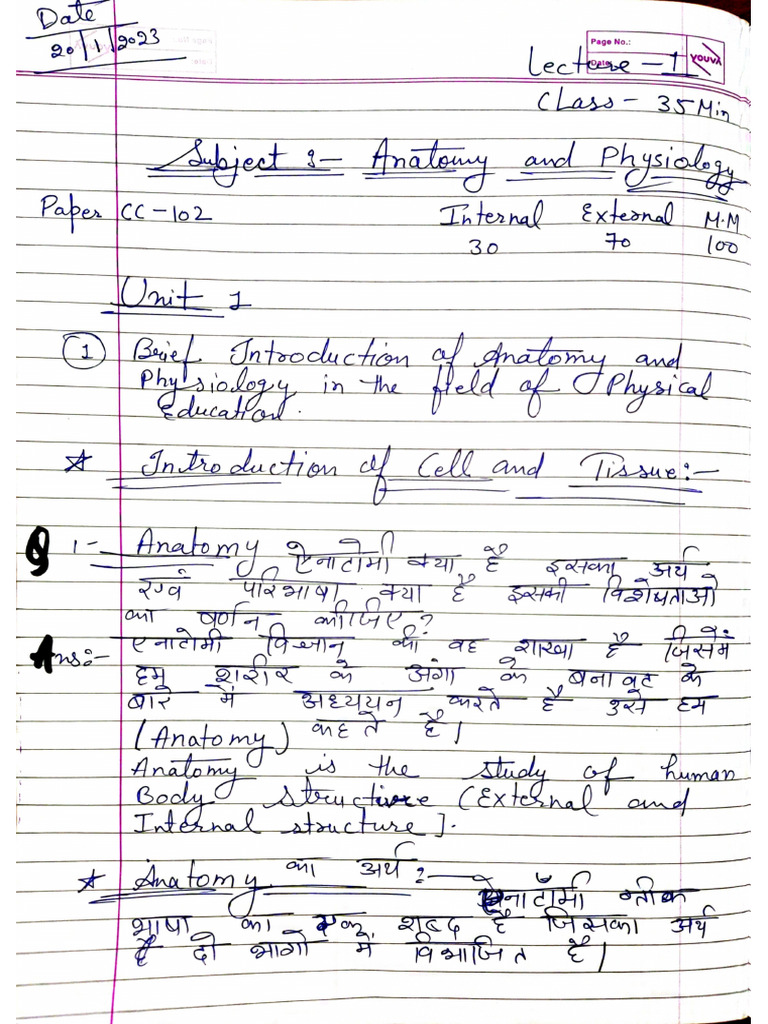 Document 19 | PDF