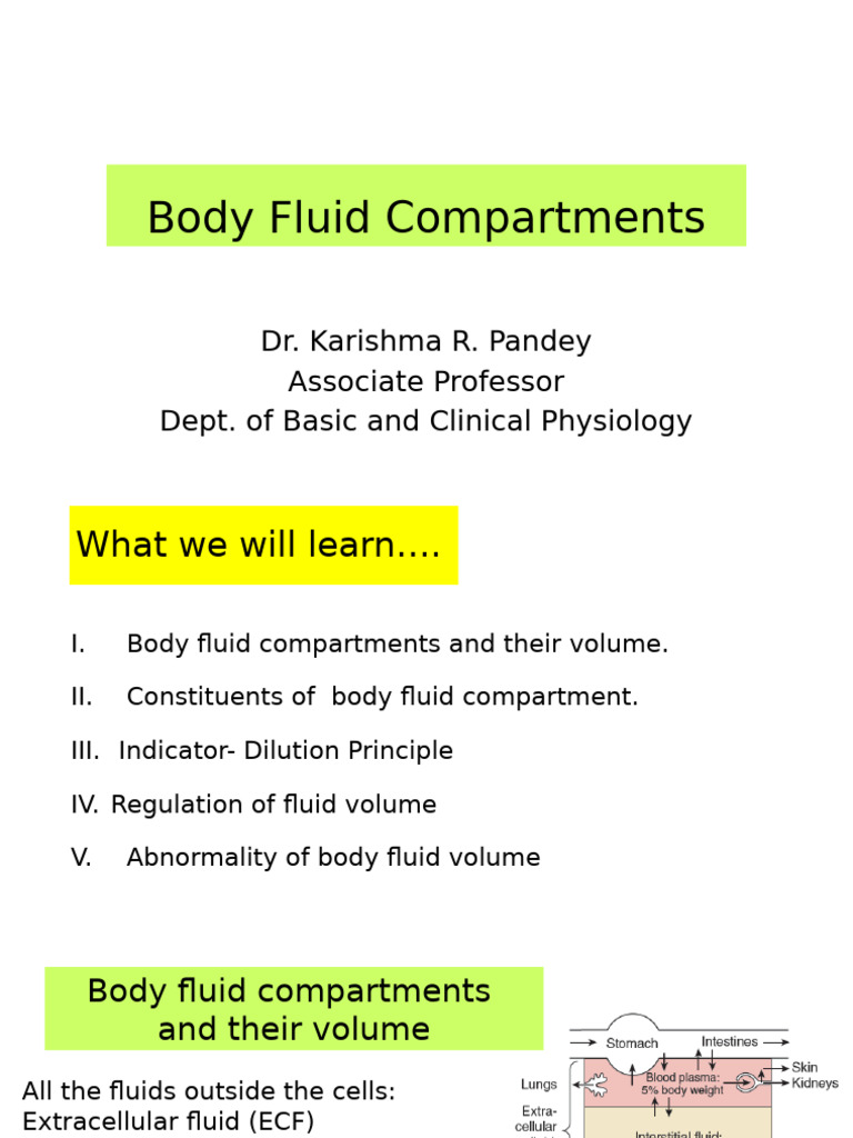 3 Body Fluid Compartments.ppsx | PDF | Physiology
