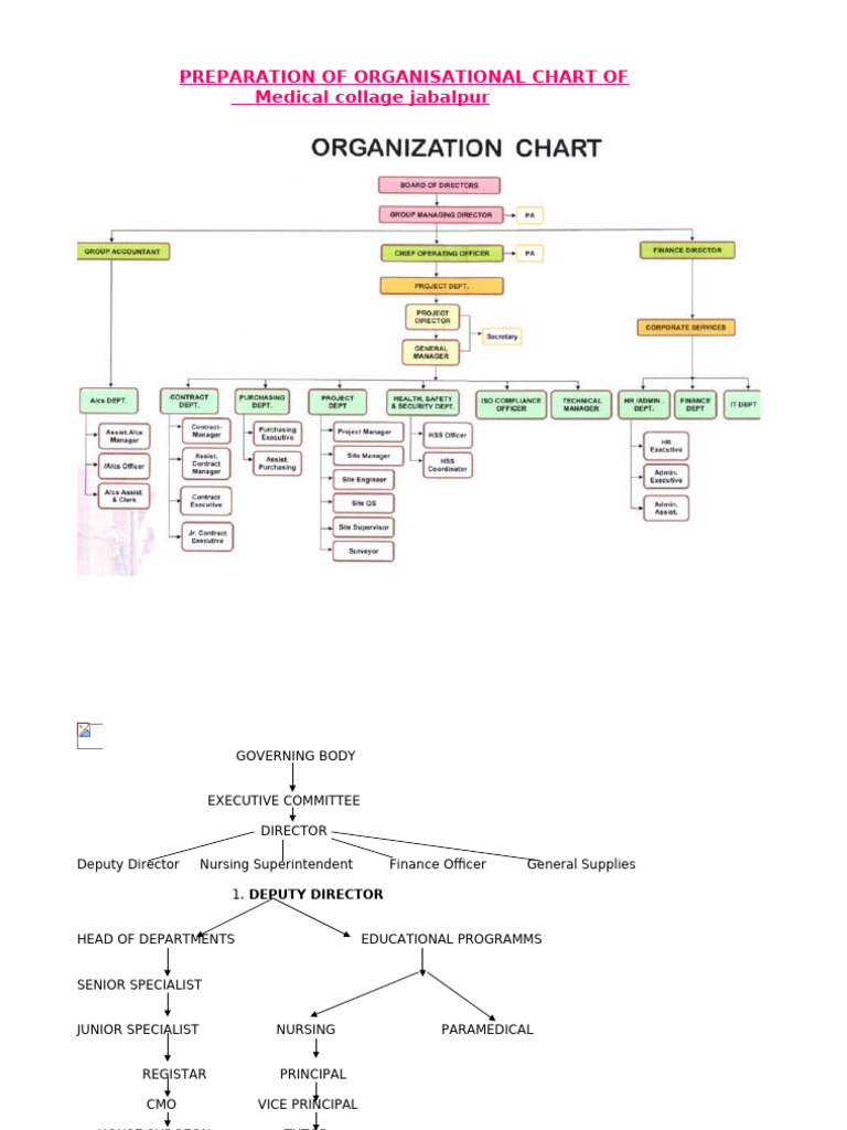 4 Orgnization Chart | PDF