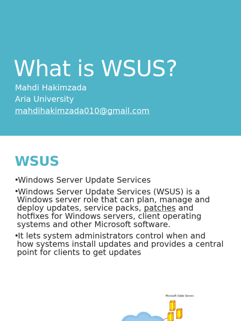 WSUS Guide for System Admins | PDF