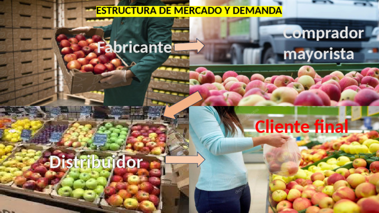 Estructura de Mercado y Demanda Expo 3 | PDF