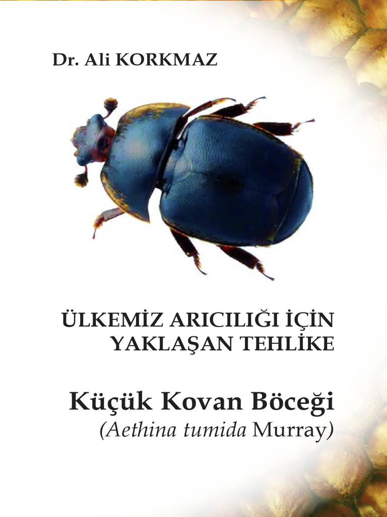 Ulkemiz Ariciligi Icin Yaklasan Tehlike Kucuk Kovan Bocegi | PDF