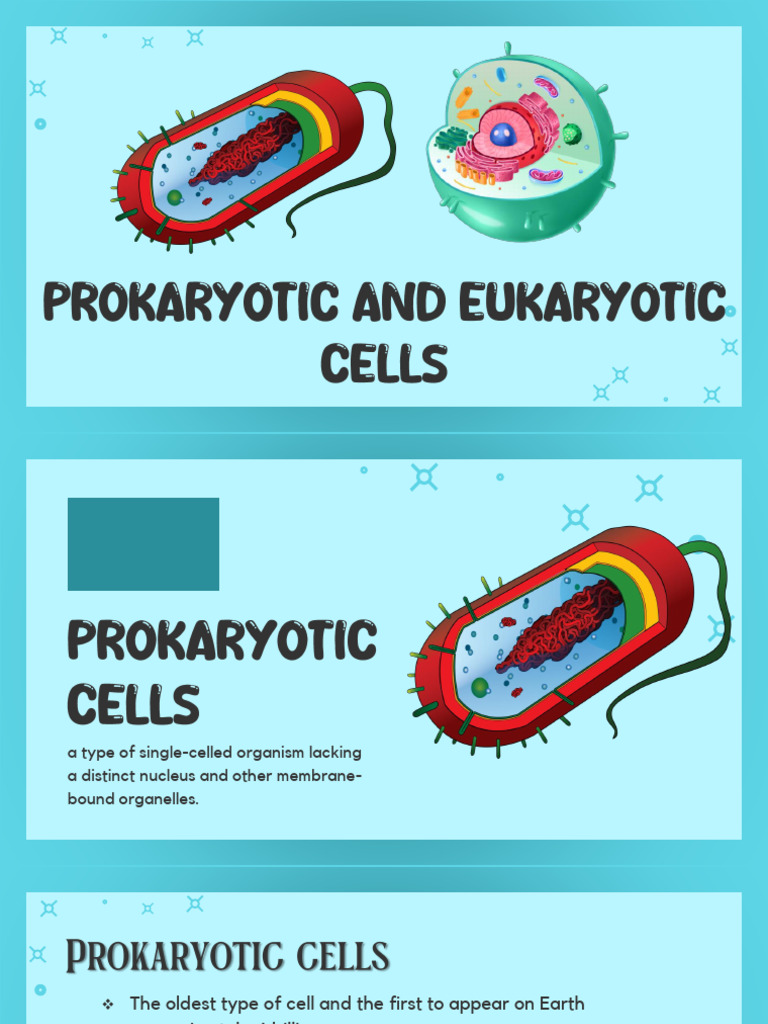 Prokaryotic and Eukaryotic Cells G7 | PDF | Cell (Biology ...