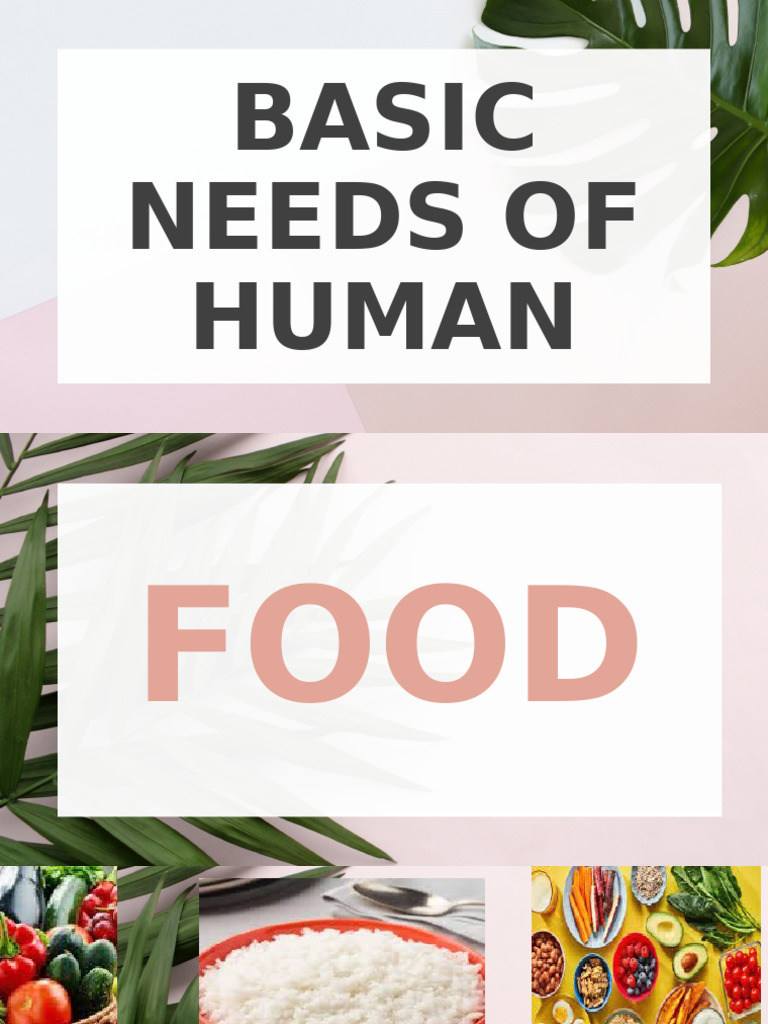 Basic Needs of Human | PDF