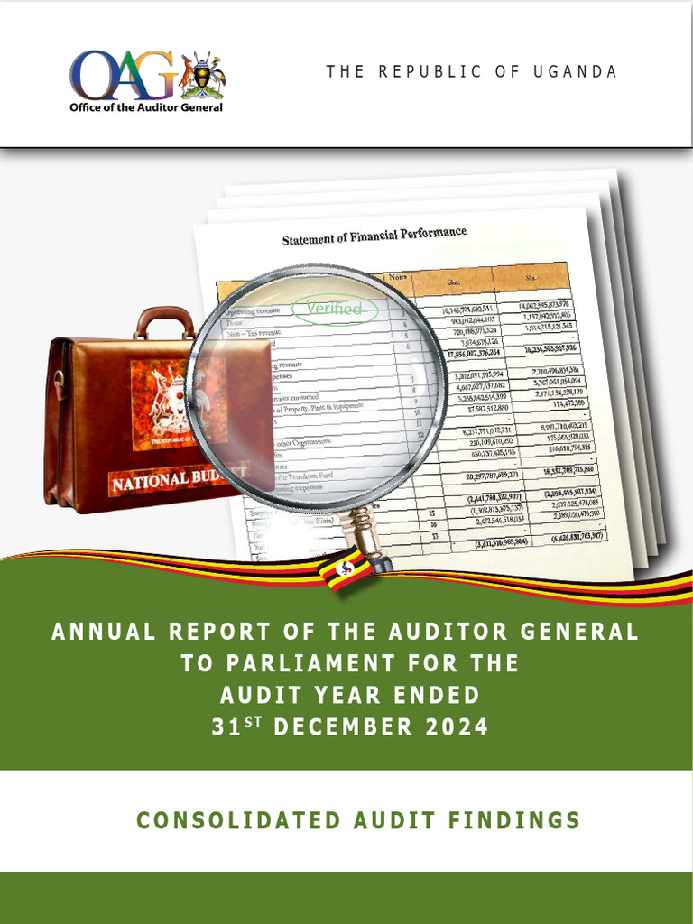 Oag Report 2024 | PDF | Going Concern | Audit