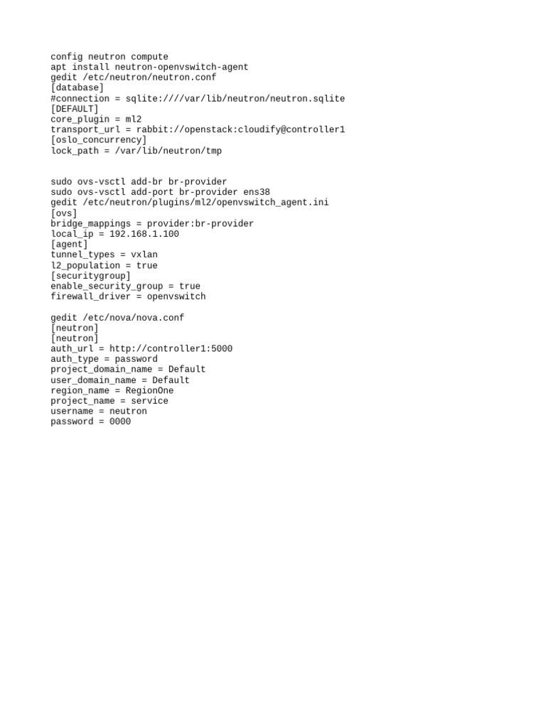 Config Neutron Compute | PDF