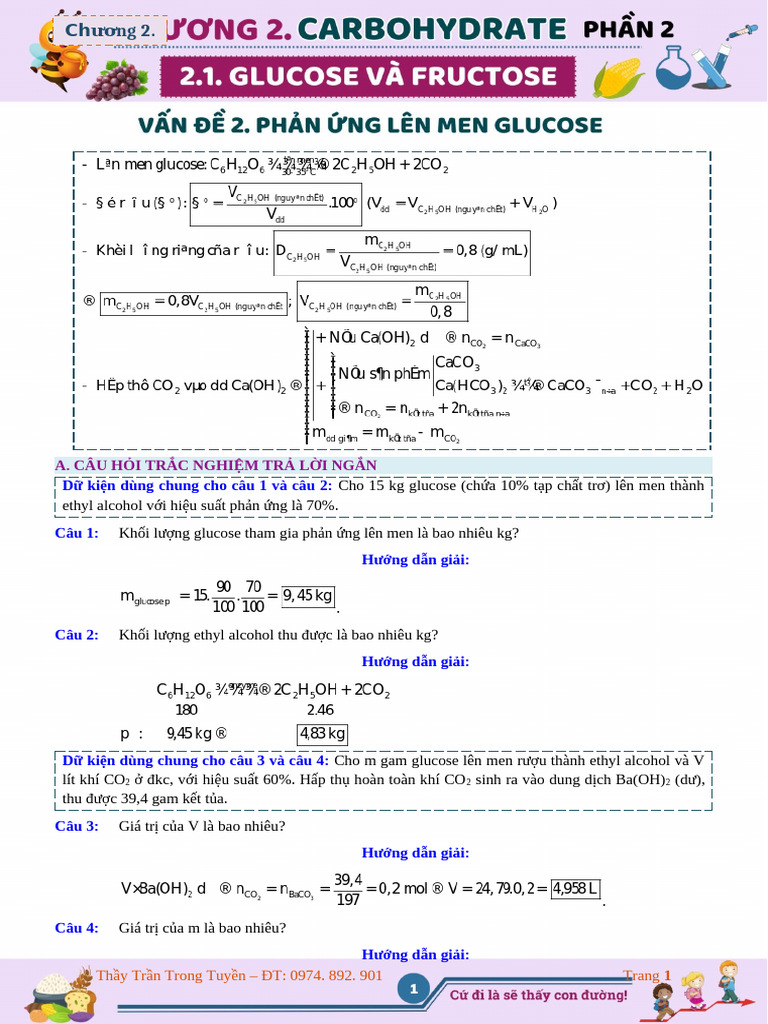 Glu-Fruc To2 | PDF