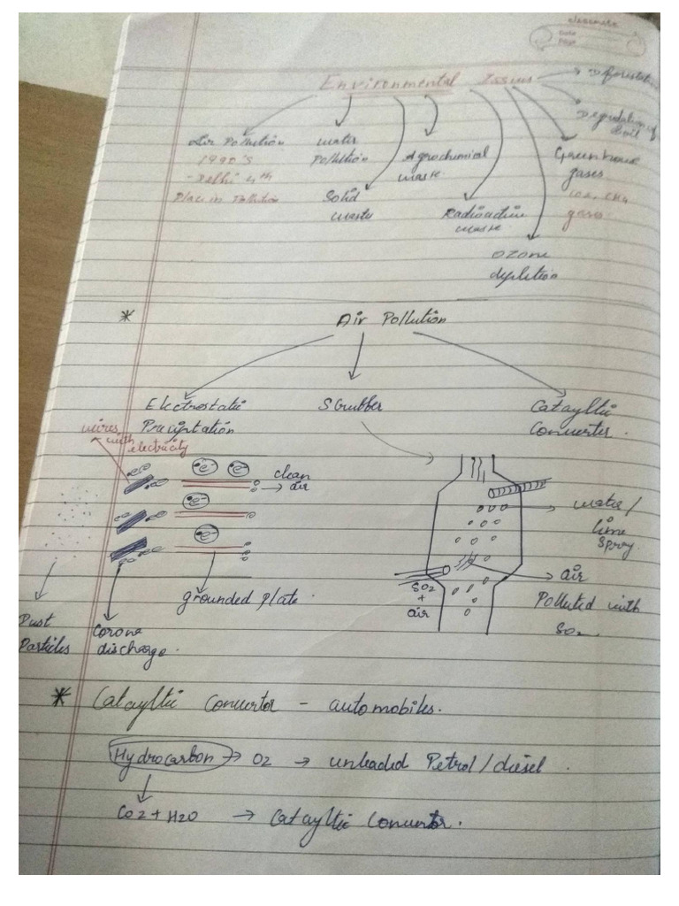 Environmental Issues Ritu Rattewal | PDF