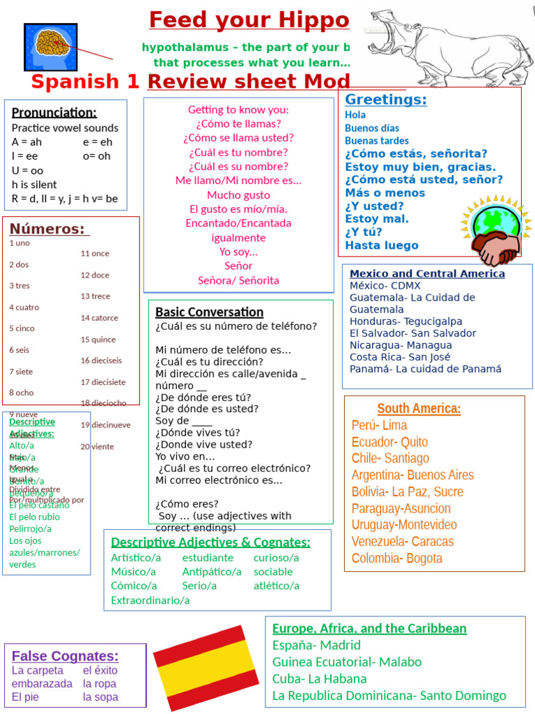 Module 1 Hippo - Spanish 1 (4533 v16) | PDF