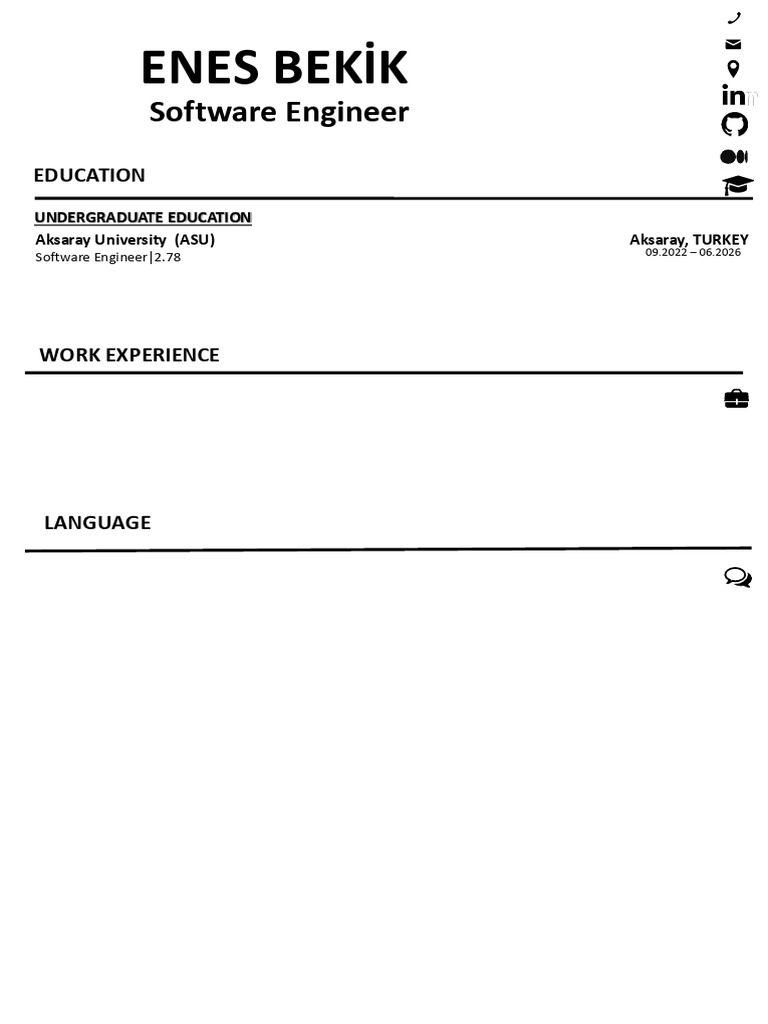 Enes Bekik - Software Engineer Profile | PDF