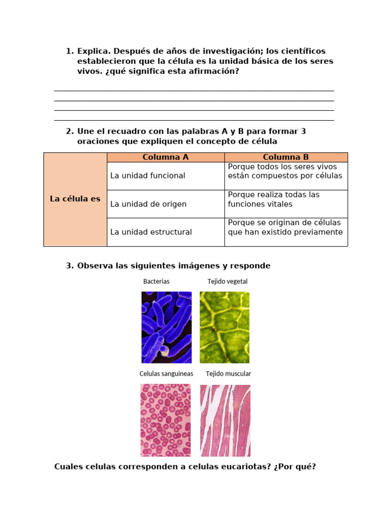Teoría celular y tipos de células | PDF | Biología Celular) | Organismos