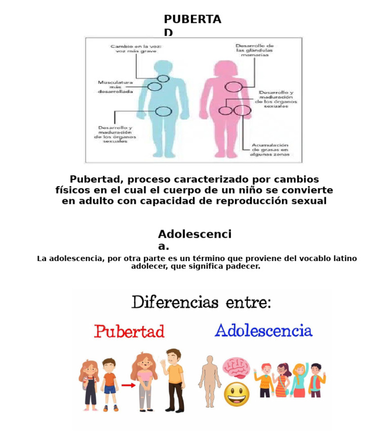 Cambios físicos en la pubertad | PDF