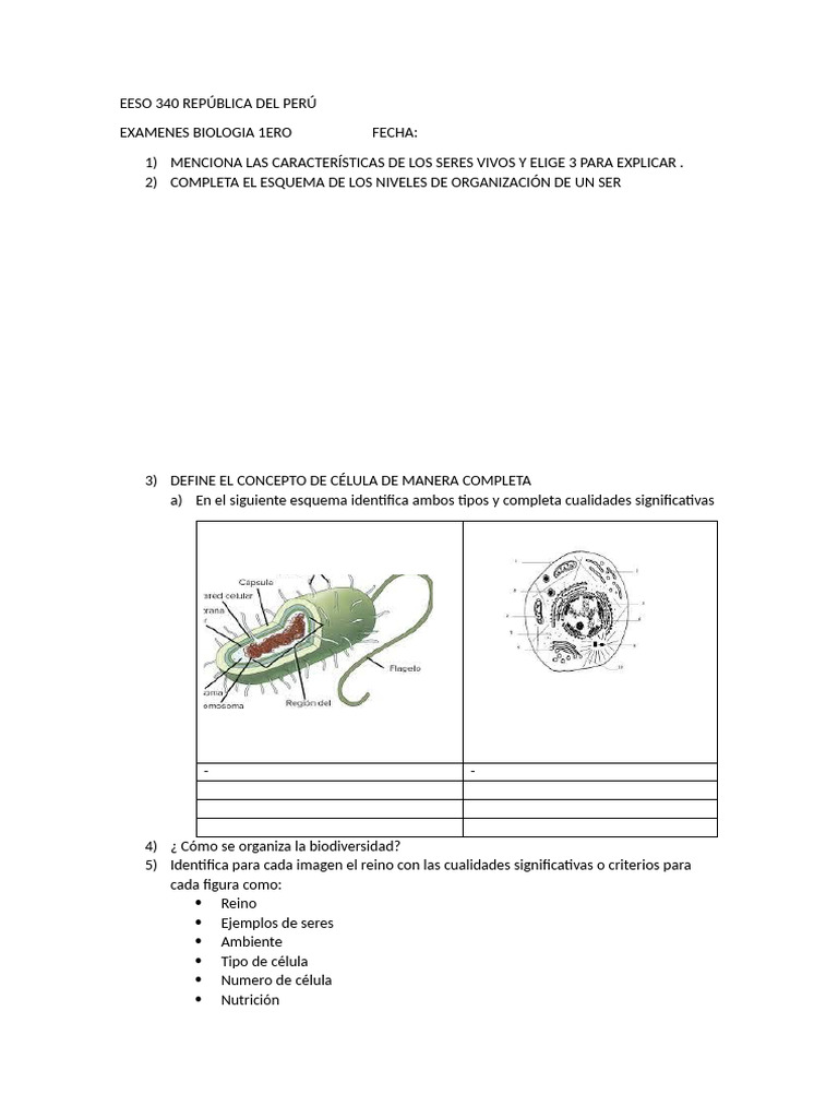 Eeso 340 1ero | PDF