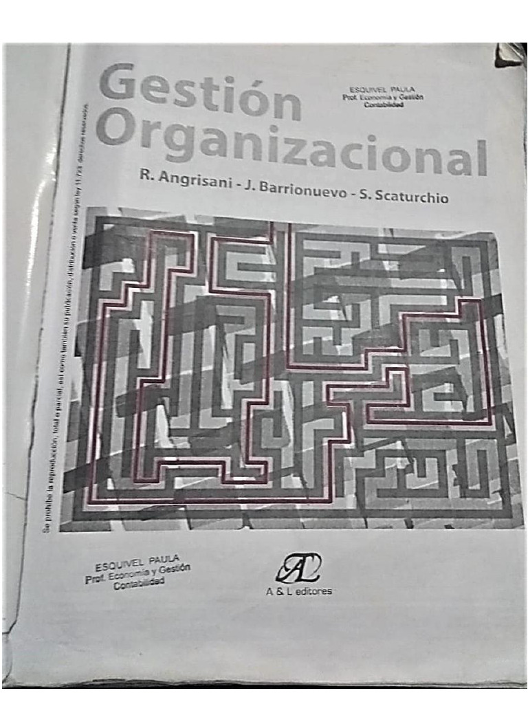 Gestion Organizacional Angrisani PDF Version 1 2 PDF Free | PDF