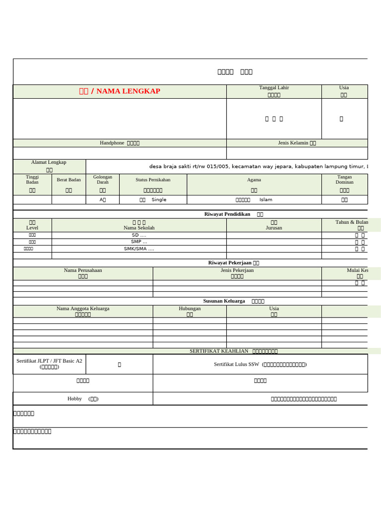 CV Kosongan Exel | PDF