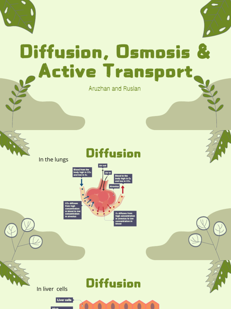 Diffusion, Osmosis & Active Transport PDF | PDF