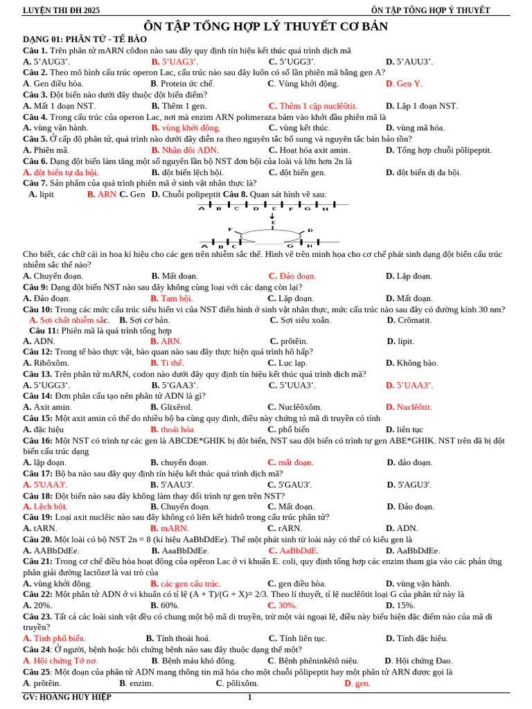 In 62 Ban Đề Ôn Tập Qldt Tháng 11 l3 2024 | PDF