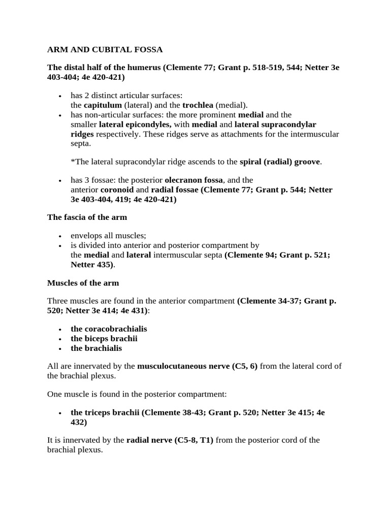 Arm and cubital fossa | PDF | Arm | Elbow