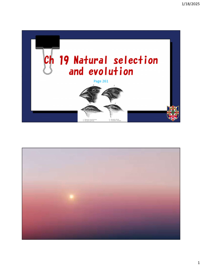 Ch19 Natural Selection and Evolution | PDF | Natural Selection | Antimicrobial Resistance