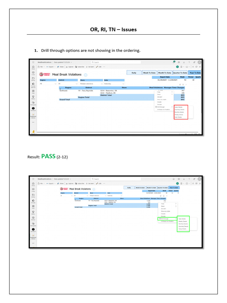OR, RI, TN Report Issues Summary | PDF