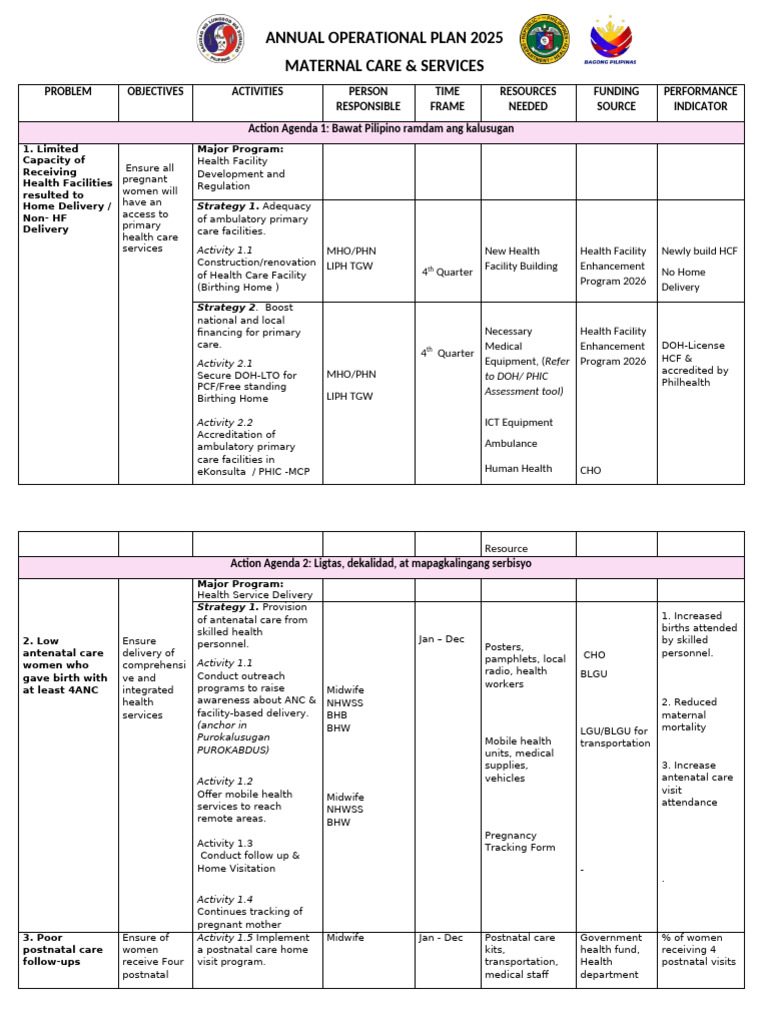 2025 Maternal Care Operational Plan | PDF | Pregnancy | Midwifery