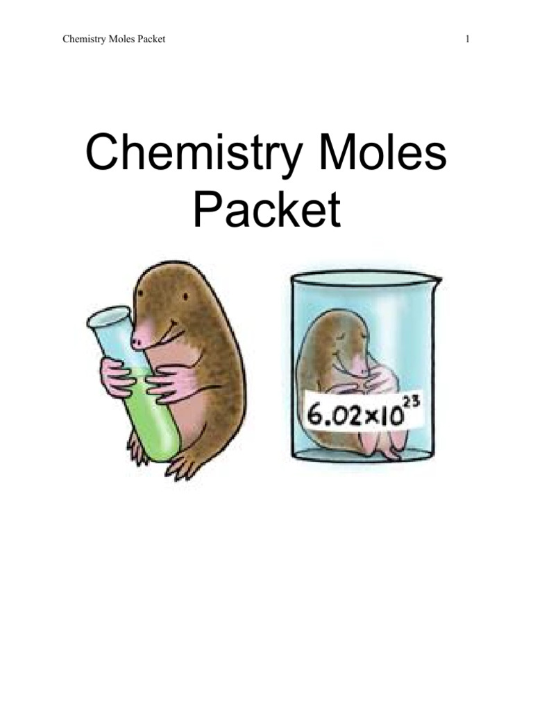 Chemistry Moles Overview Packet | PDF