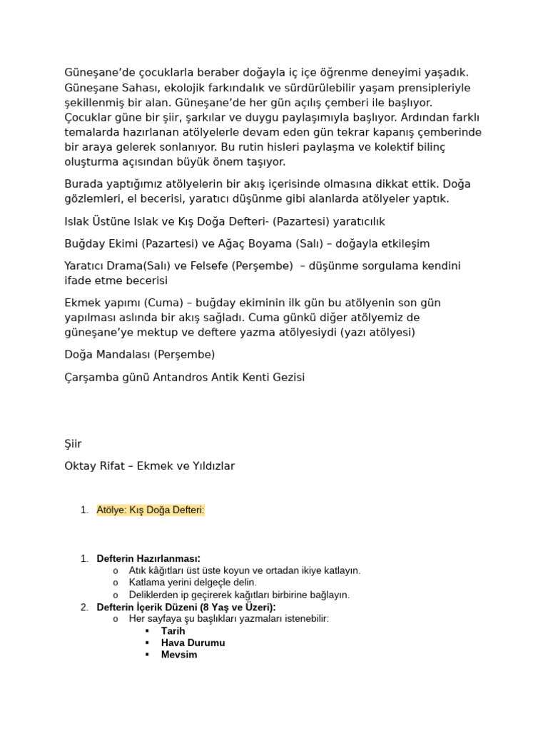 Güneşane Saha Website Outline - Docx Adlı Dosyanın Kopyası | PDF