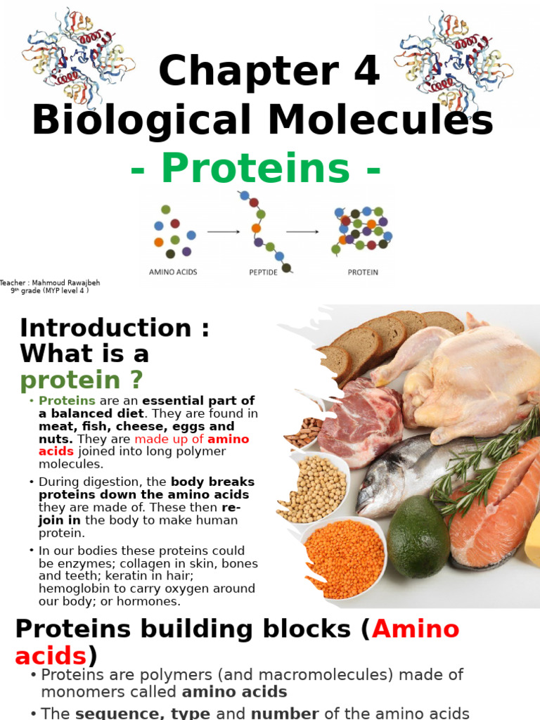 Chapter 4 - Proteins 2025 | PDF | Protein Structure | Proteins