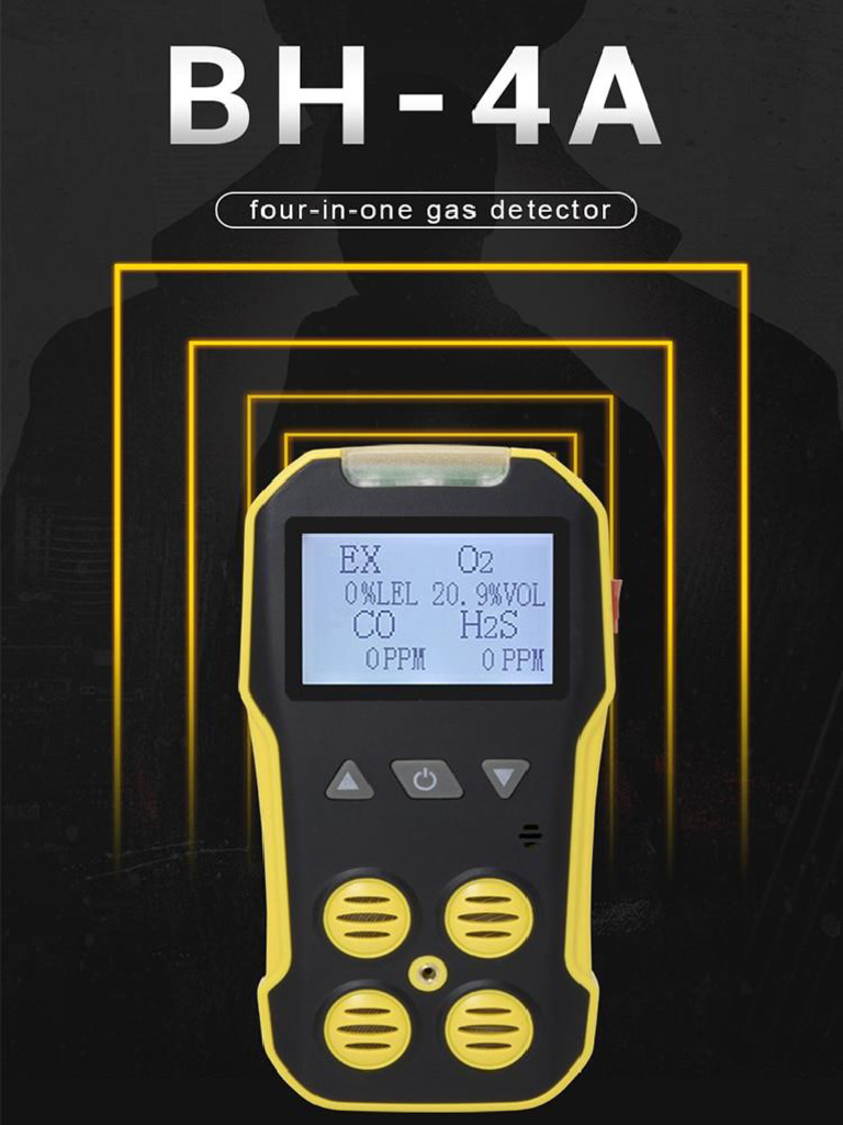 Medidor Multigas BH 4A | PDF | Gases industriales | Ingeniería de Procesos Químicos