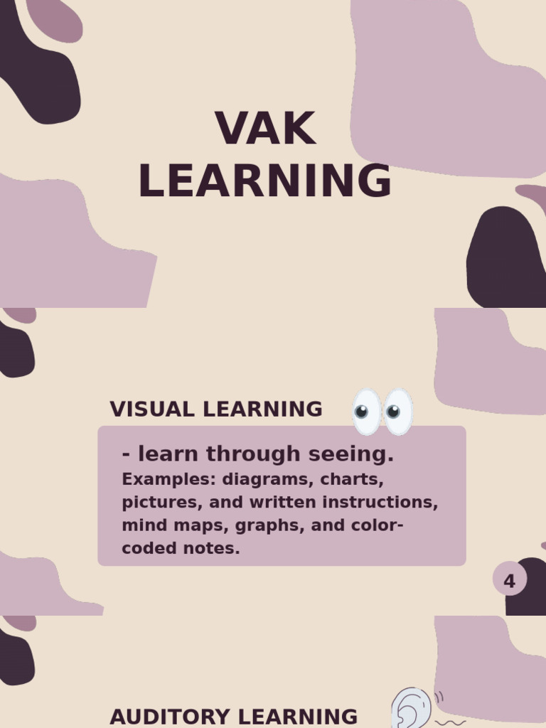 VAK Learning Styles Explained | PDF