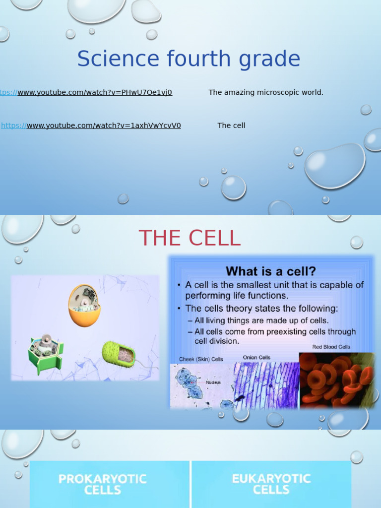Science Fourth Grade | PDF | Planets | Solar System
