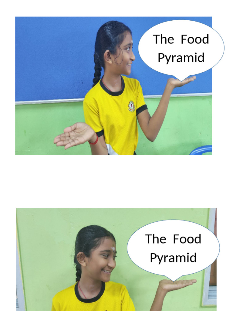 Understanding the Food Pyramid Levels | PDF