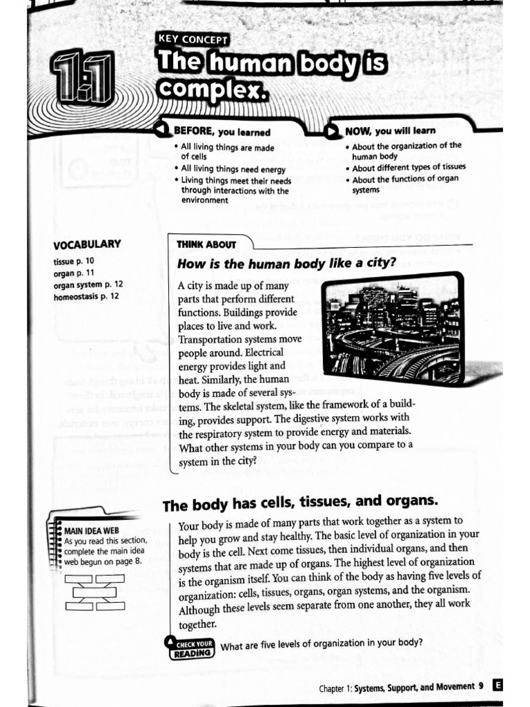 Human Biology 1.1 Reading | PDF
