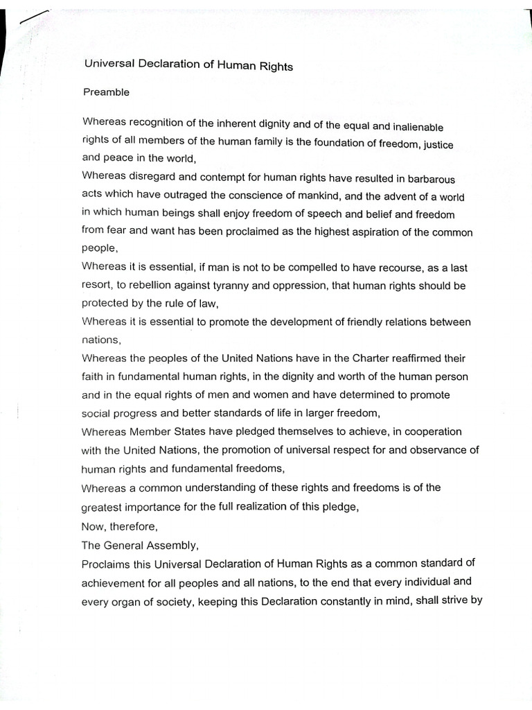 Human Rights Notes PDF | PDF