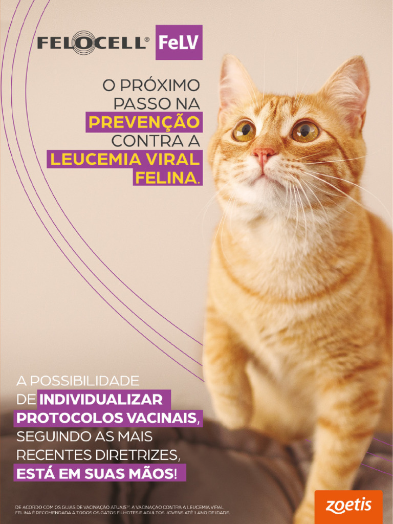 Folheto Técnico - Felocell FeLV | PDF | Anticorpo | Vacinas