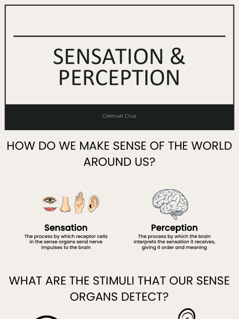 Sensation and Perception | PDF | Senses | Perception