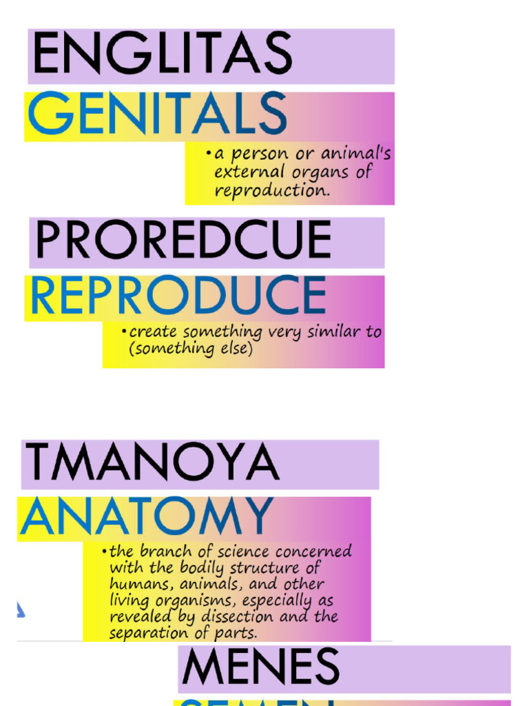 REPRODUCTIVE SYSTEM Visual Aids | PDF