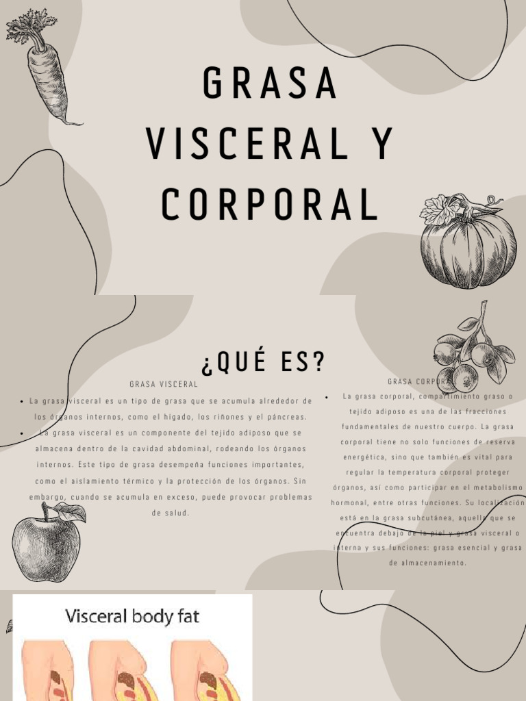 Grasa Visceral y Corporal: Definición y Funciones | PDF | Tejido ...