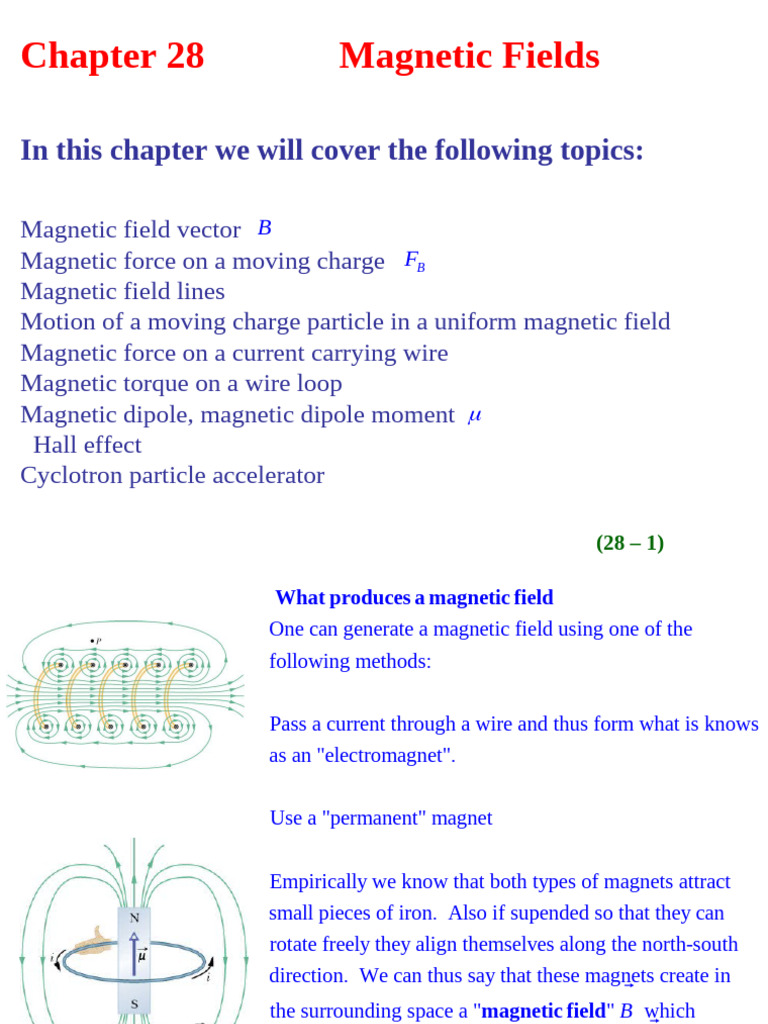 Magnetic Fields | PDF | Magnetic Field | Force