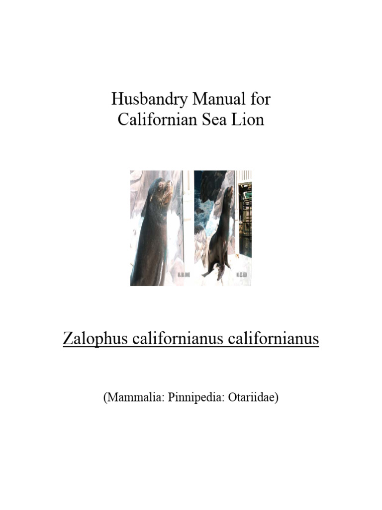 Californian Sea Lion Husbandry Guide | PDF | Zoo | Pinniped