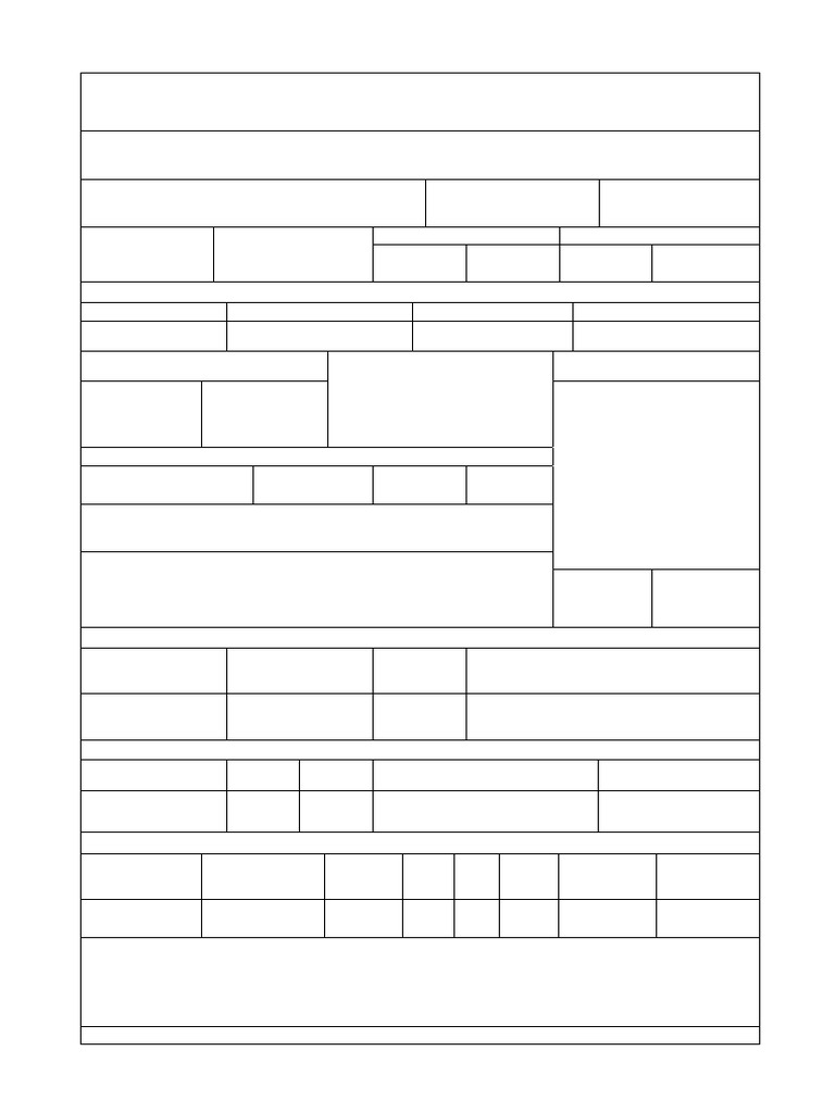 Japan Customs General Aircraft Outwards and Inwards Declaration Form ...