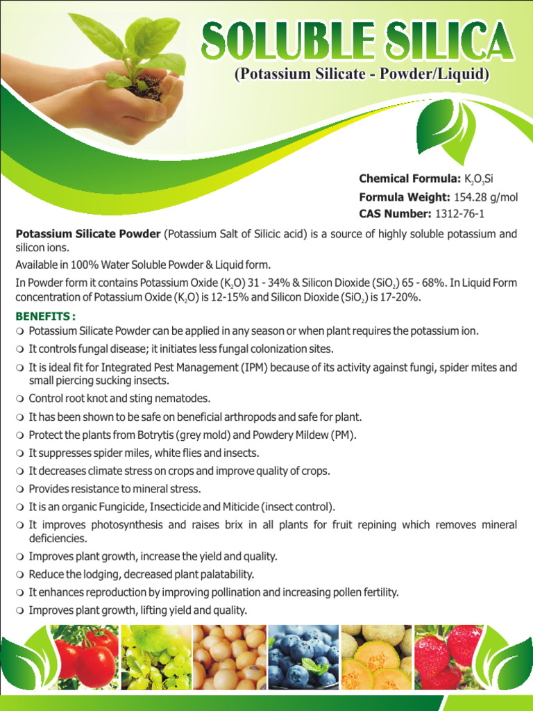 Potassium-Silicate-Powder-cf003 | PDF | Silicon Dioxide | Potassium