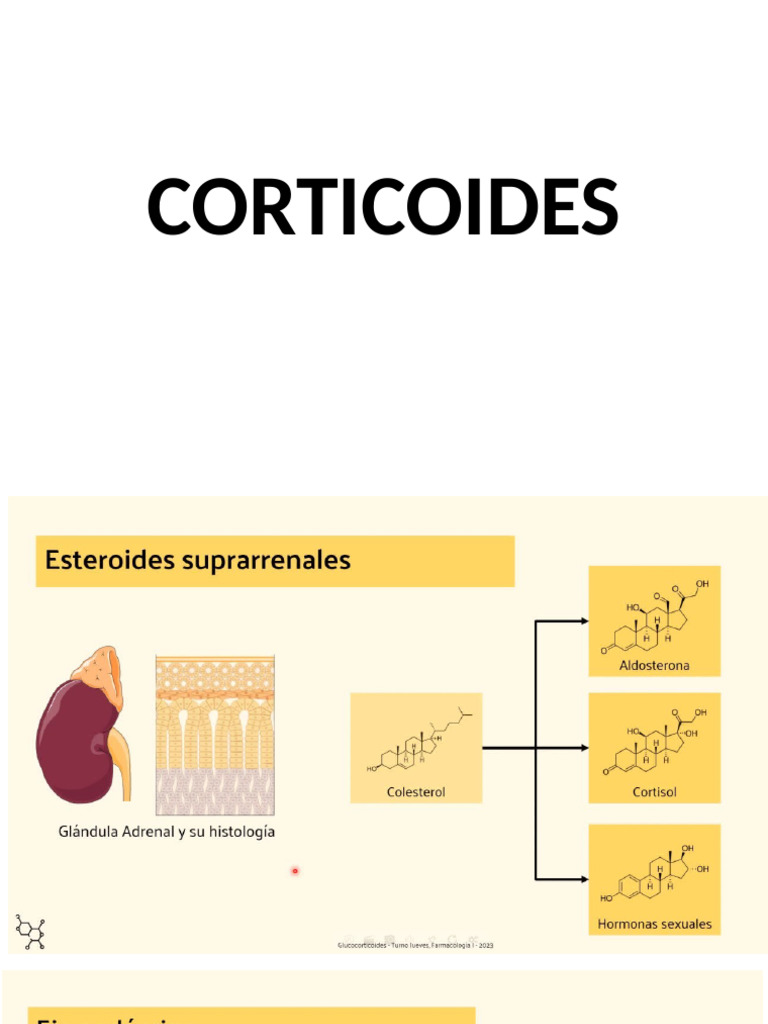 Corticoid Es | PDF