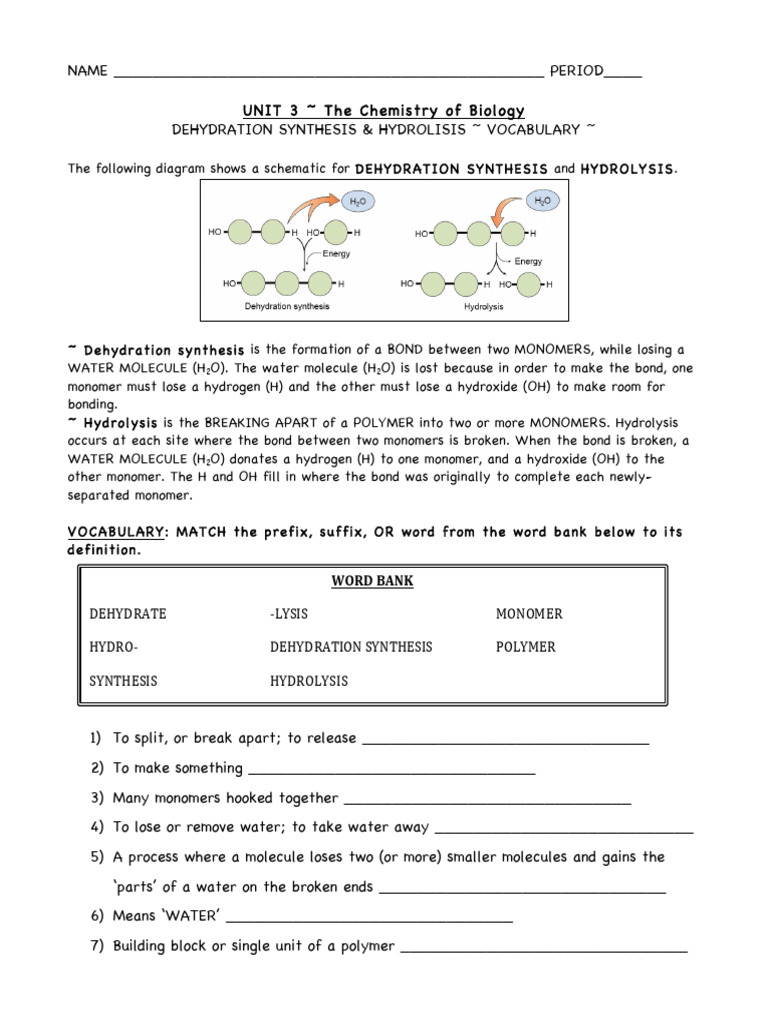 Biology Chemistry Vocabulary | PDF